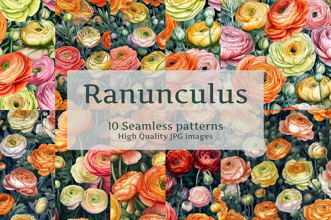 Ranunculus Flowers, Seamless Pattern, High-resolution Digital Image ...