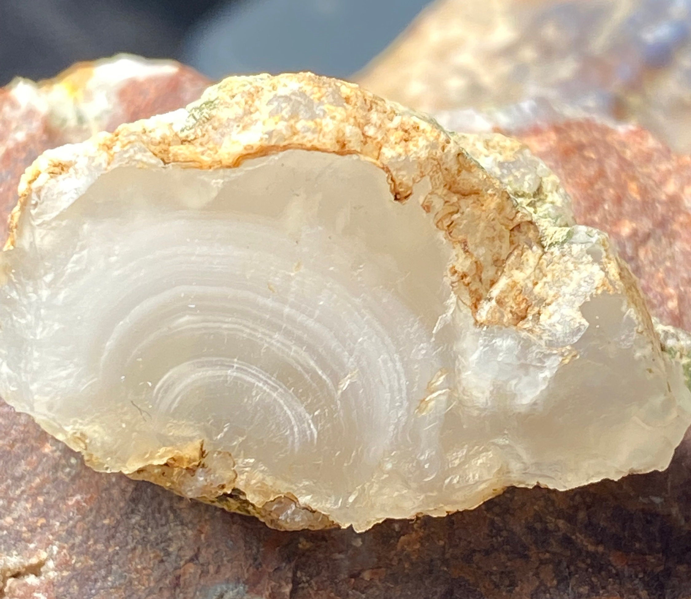 Rare Botryoidal Chalcedony Agate Bubbly Agate | Etsy