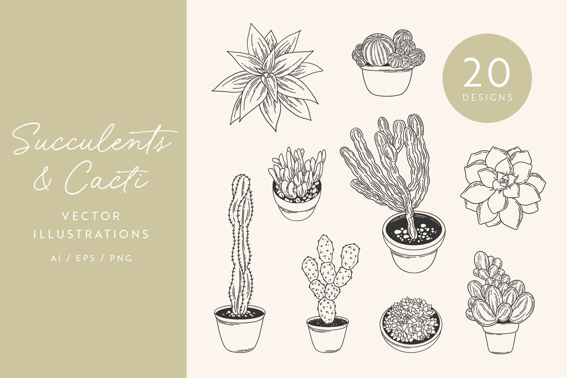 Succulent Cactus Clipart | Plants Vector Illustrations | SVG | PNG - Etsy