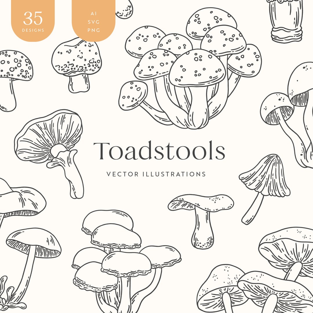 Toadstools Vector Illustrations | Clipart | SVG | PNG - Etsy
