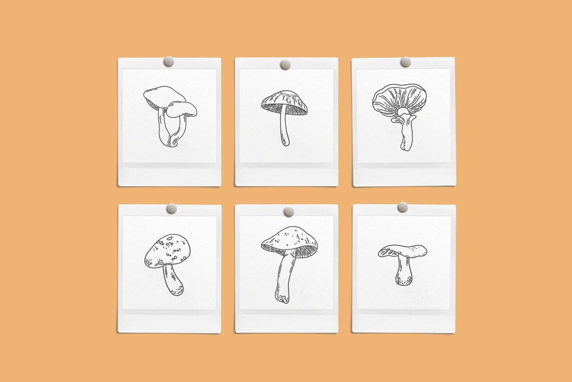 Toadstools Vector Illustrations | Clipart | SVG | PNG - Etsy