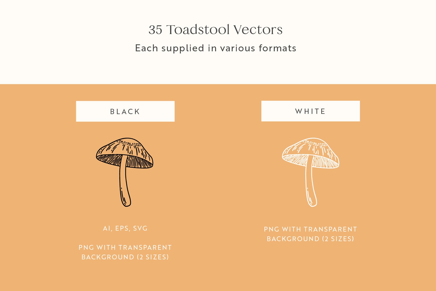Toadstools Vector Illustrations | Clipart | SVG | PNG - Etsy