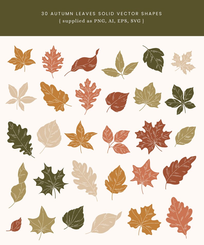 Autumn Leaves Vector Graphics | Fall Leaf Clipart | Autumn SVG | Fall ...