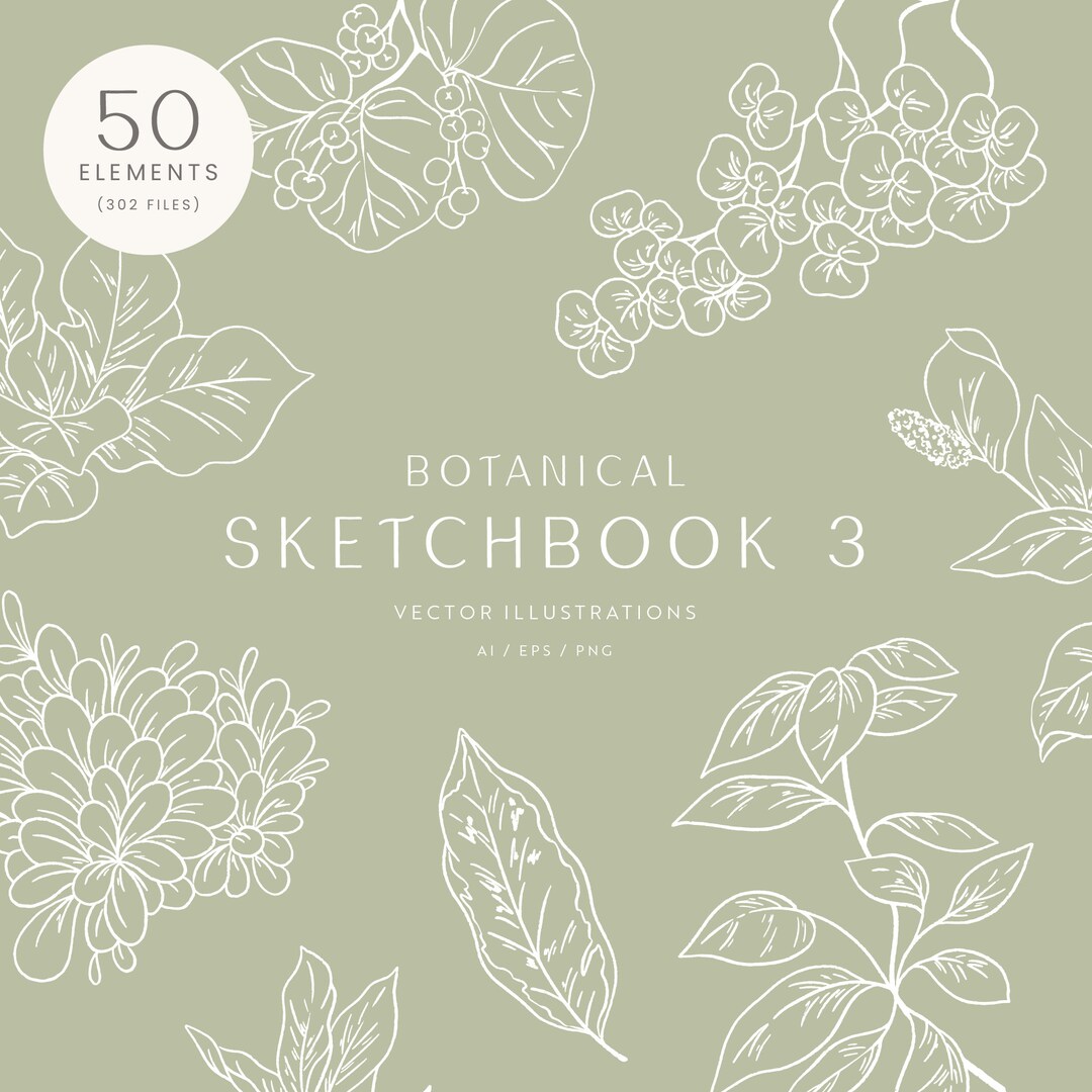 Botanical Vector Illustrations | Plants Clipart | Leaf Illustrations ...