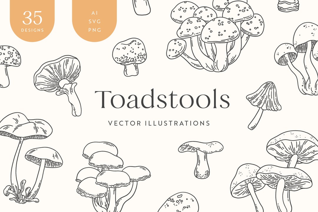 Toadstools Vector Illustrations Clipart SVG PNG - Etsy