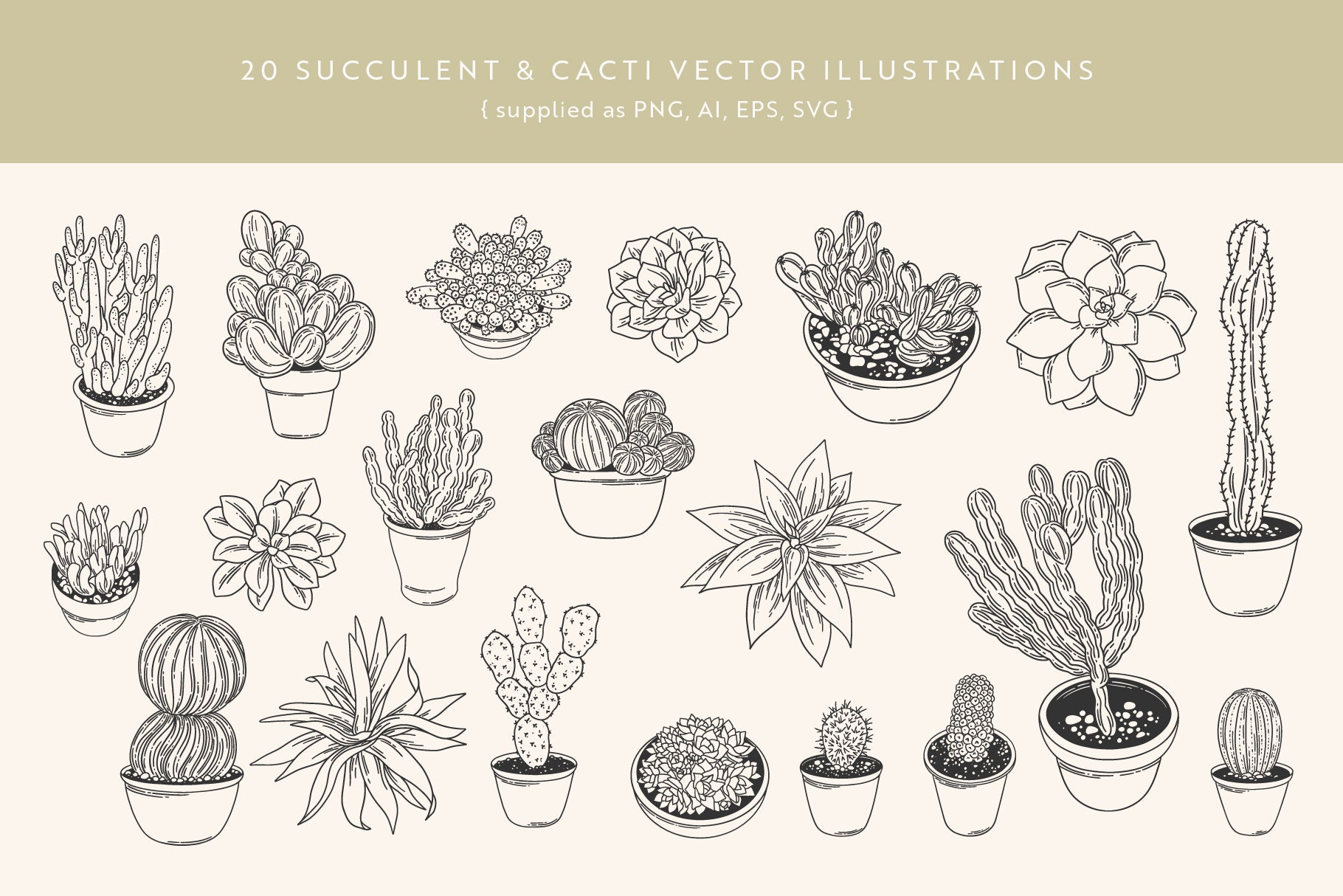 Succulent Cactus Clipart | Plants Vector Illustrations | SVG | PNG - Etsy