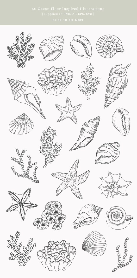 Ocean Floor Clipart Black And White