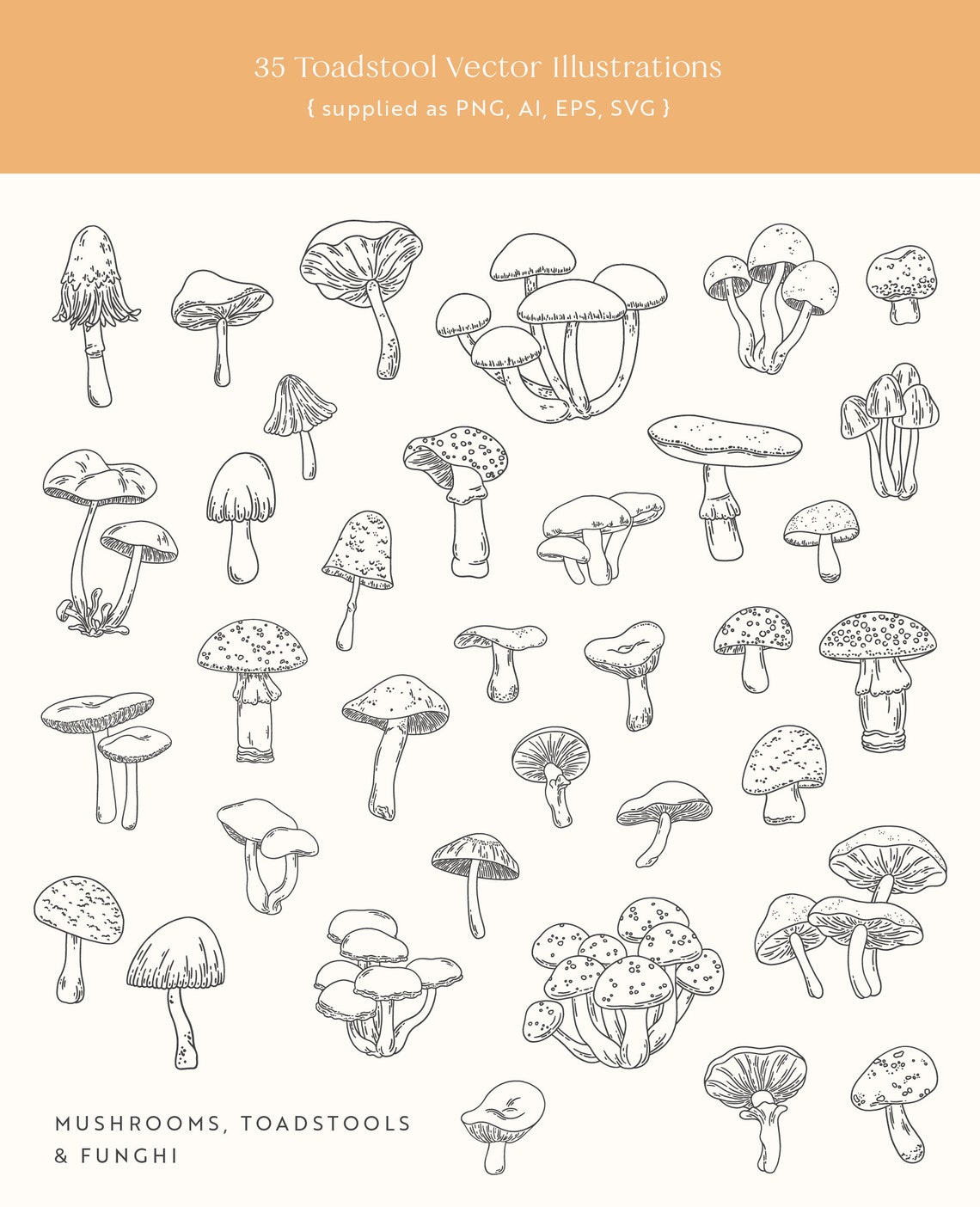 Toadstools Vector Illustrations | Clipart | SVG | PNG - Etsy