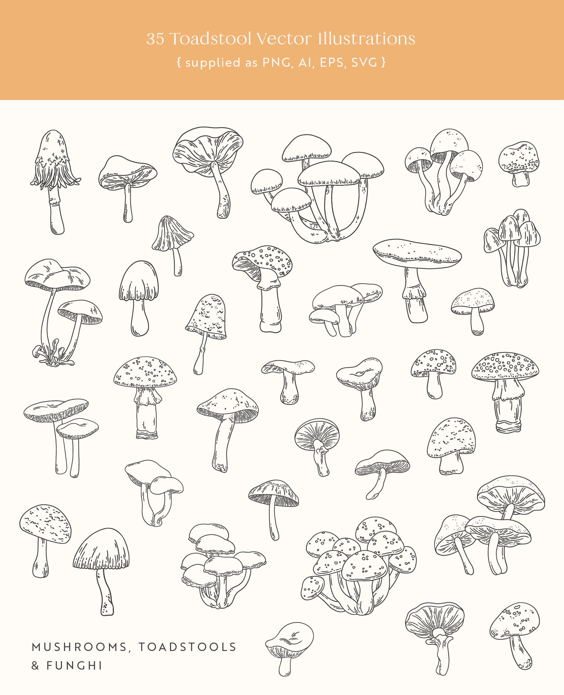 Toadstools Vector Illustrations | Clipart | SVG | PNG - Etsy