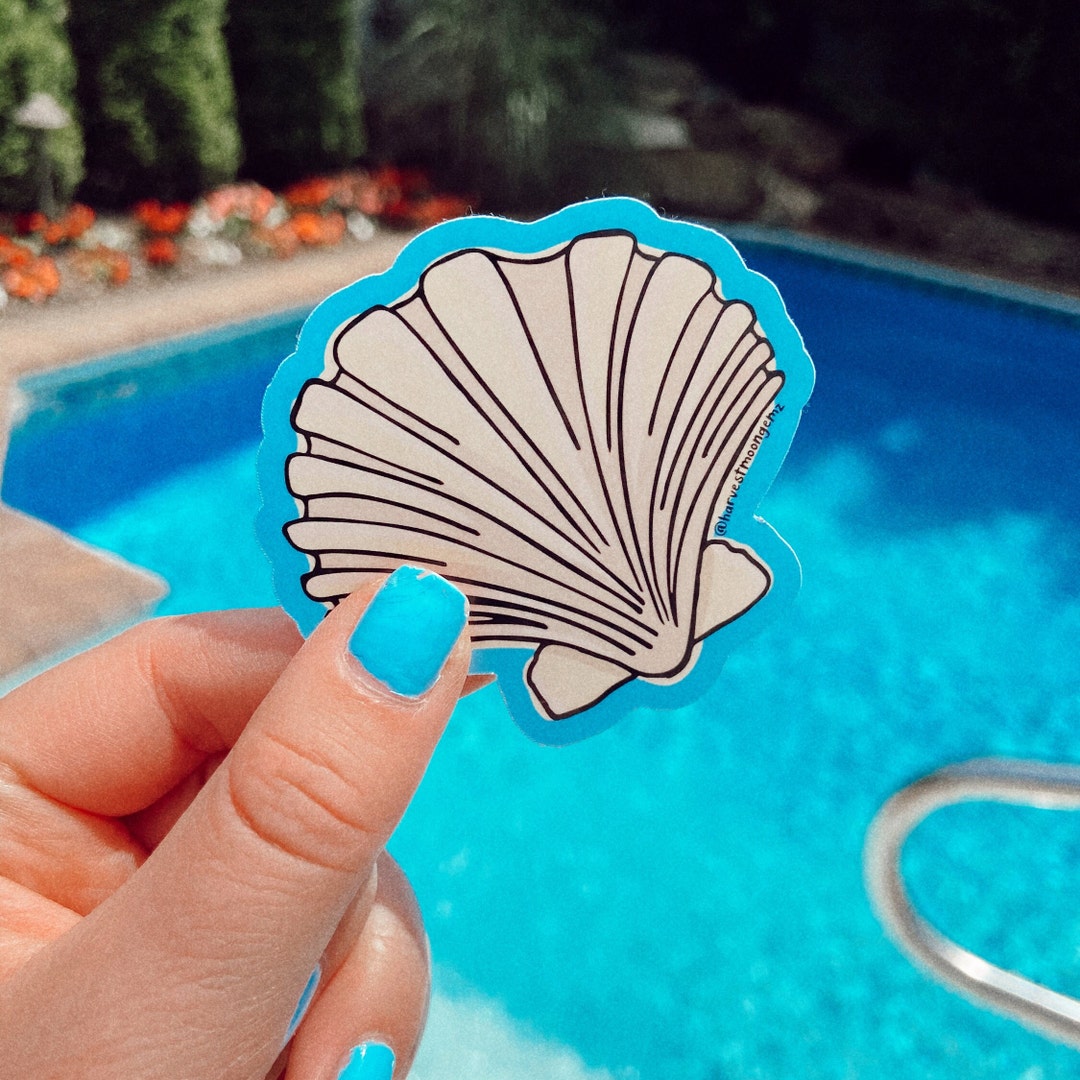 Seashell Sticker, Summer Sticker Pack - Etsy