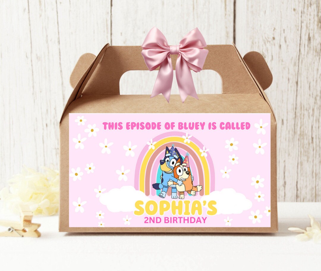 Bluey Themed Kids Party Treat Box - Etsy