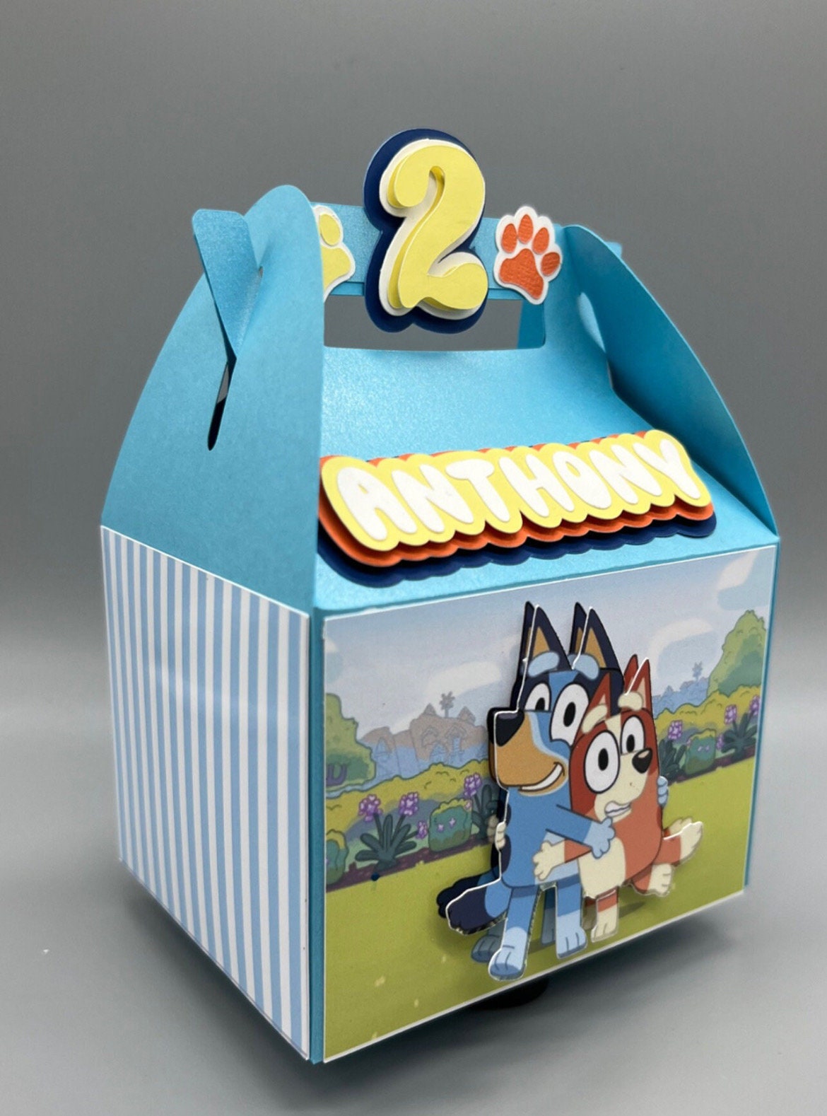 Bluey Themed Kids Party Treat Box - Etsy