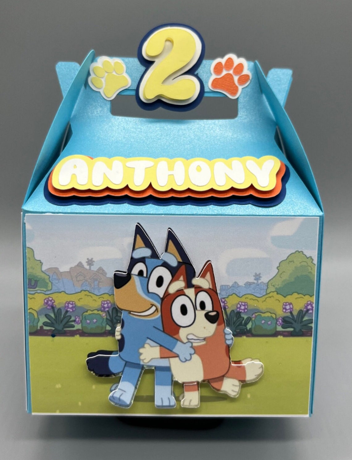 Bluey Themed Kids Party Treat Box - Etsy
