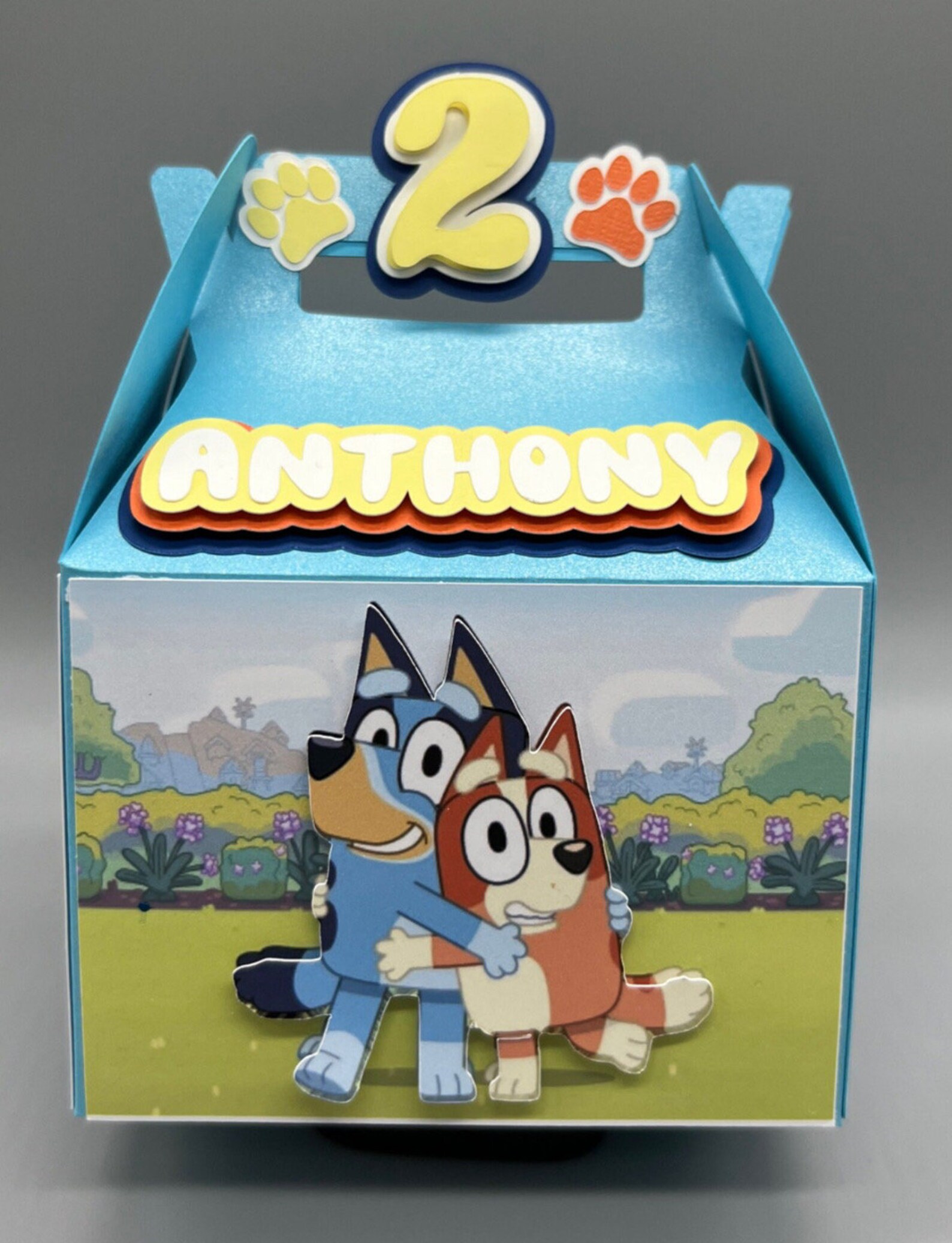 Bluey Themed Kids Party Treat Box - Etsy