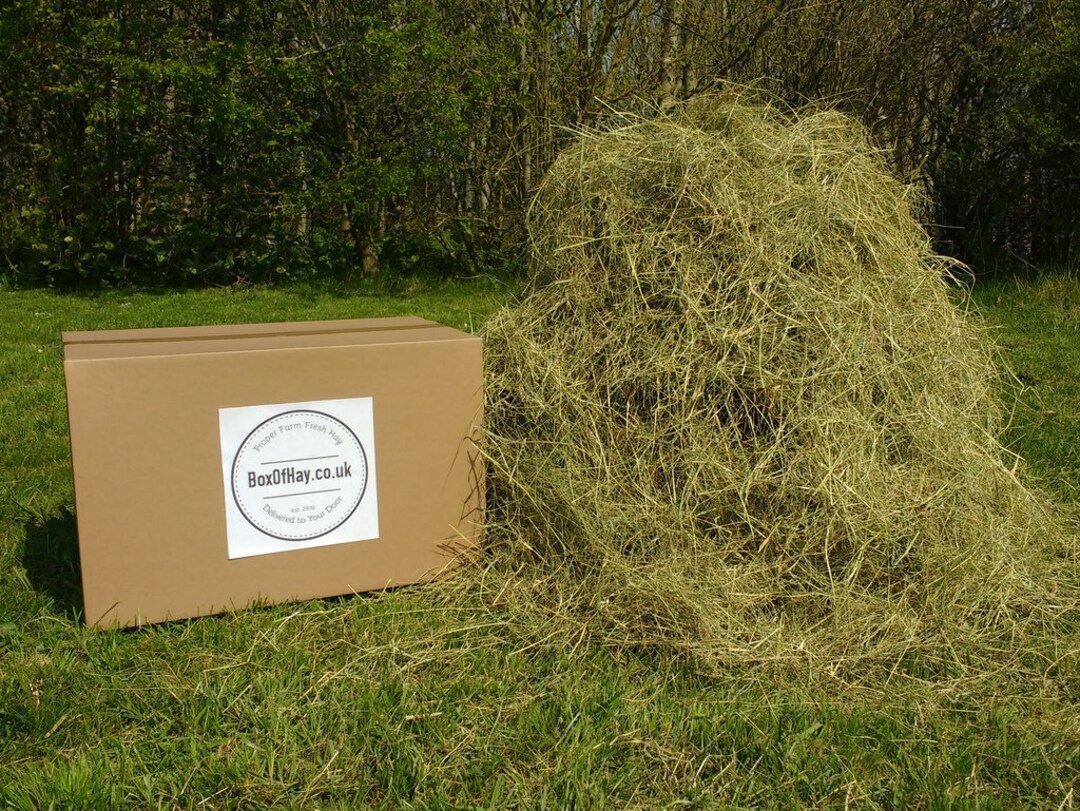 Box of Proper Farm Fresh Meadow Hay - Great for Guinea Pigs, Rabbits ...