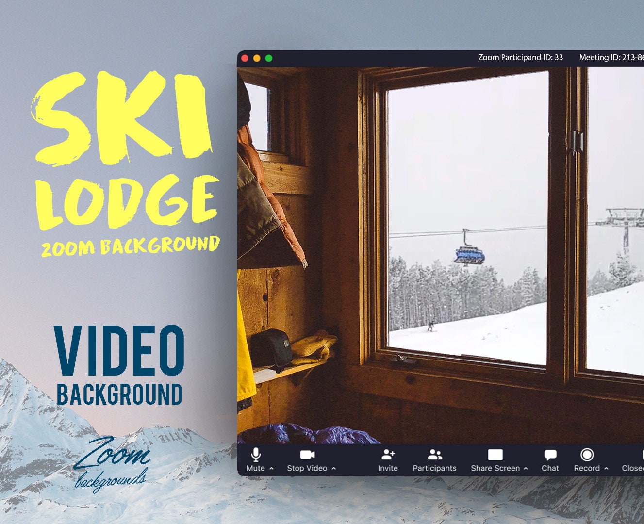 Zoom Background Cats - Etsy