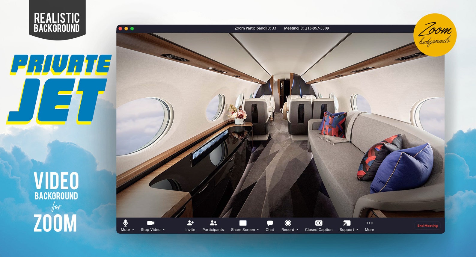 Private Jet ANIMATED VIRTUAL BACKGROUND Instant Digital Download Video ...