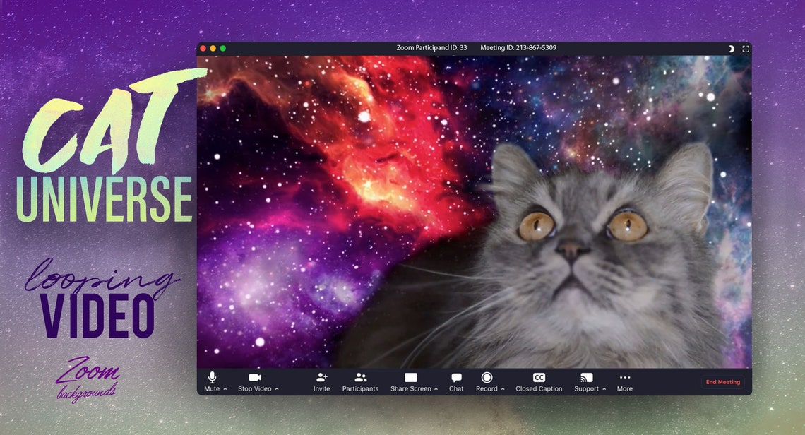 Cat Tripping Out in Space! ANIMATED VIRTUAL BACKGROUND | Instant ...