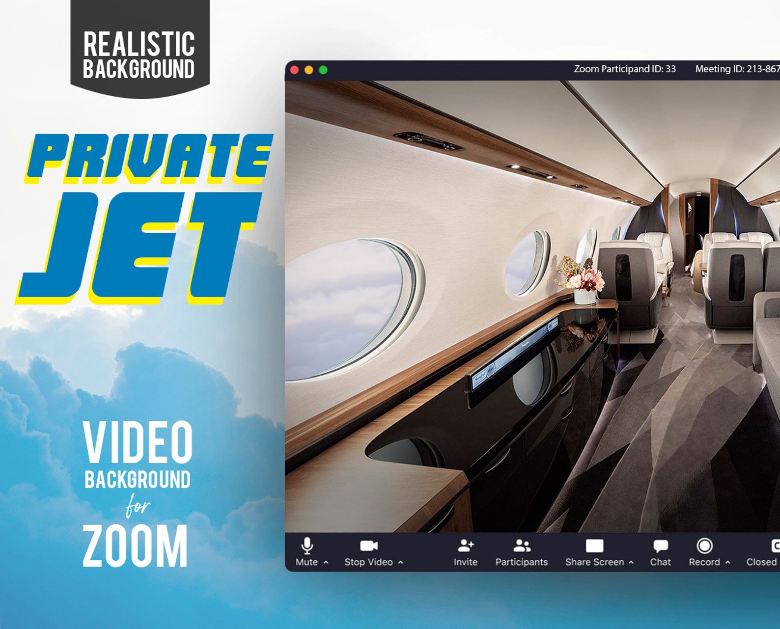 Private Jet ANIMATED VIRTUAL BACKGROUND Instant Digital Download Video ...