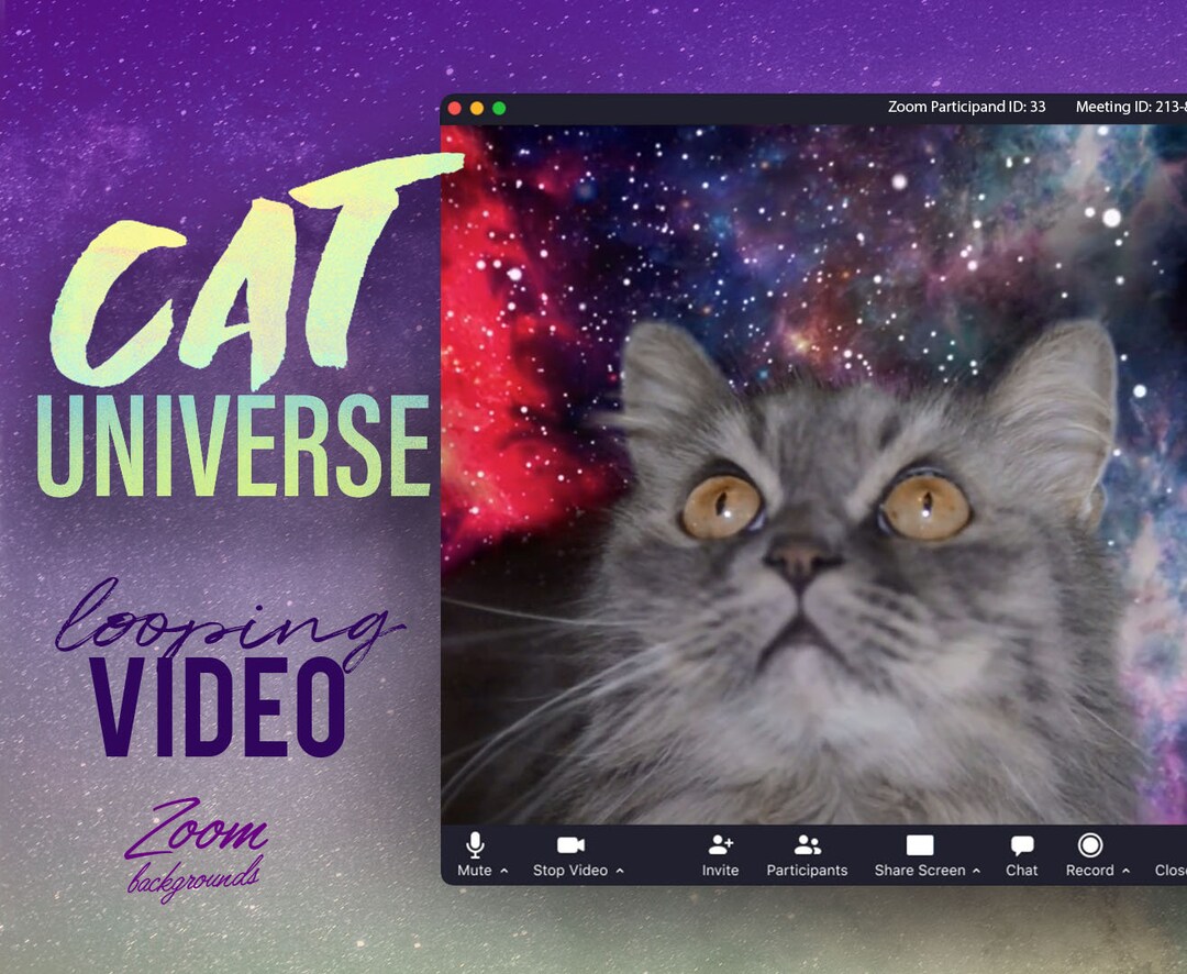 Cat Tripping Out in Space! ANIMATED VIRTUAL BACKGROUND | Instant Digital Download | Video Loop ...