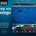 Deep Sea ANIMATED VIRTUAL BACKGROUND | Instant Digital Download | Video ...