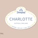 WDW Cast Member Badge Signs Name Tag SVG Disneyworld Cricut - Etsy