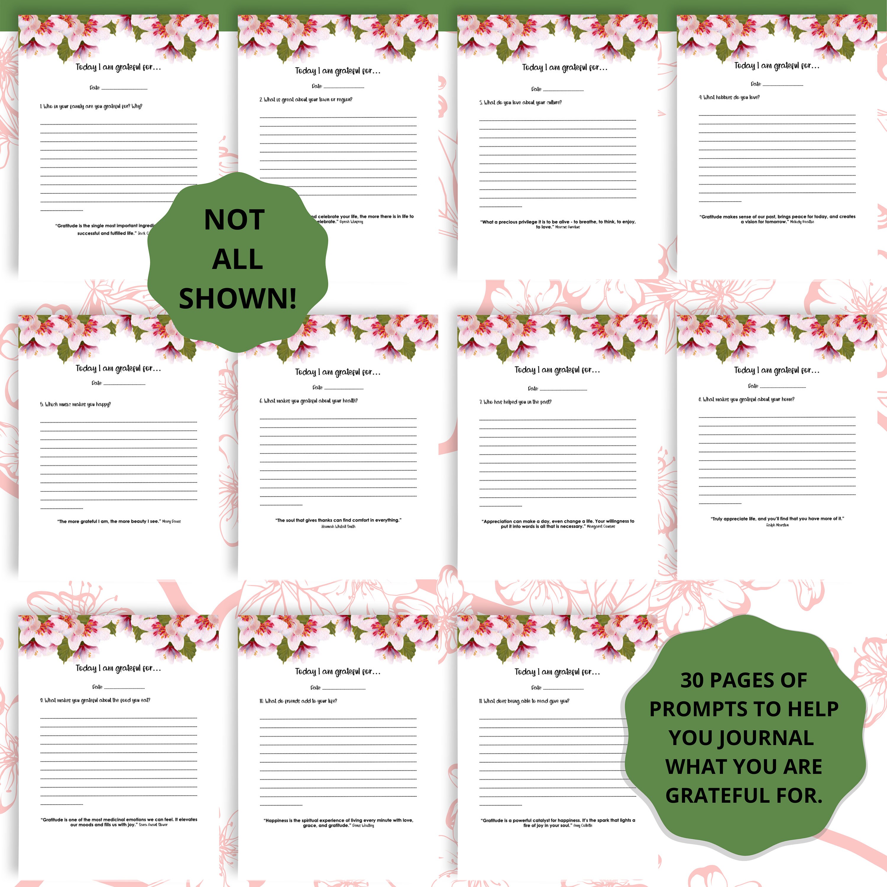 30 Days of Gratitude Journal Printable PDF - Etsy