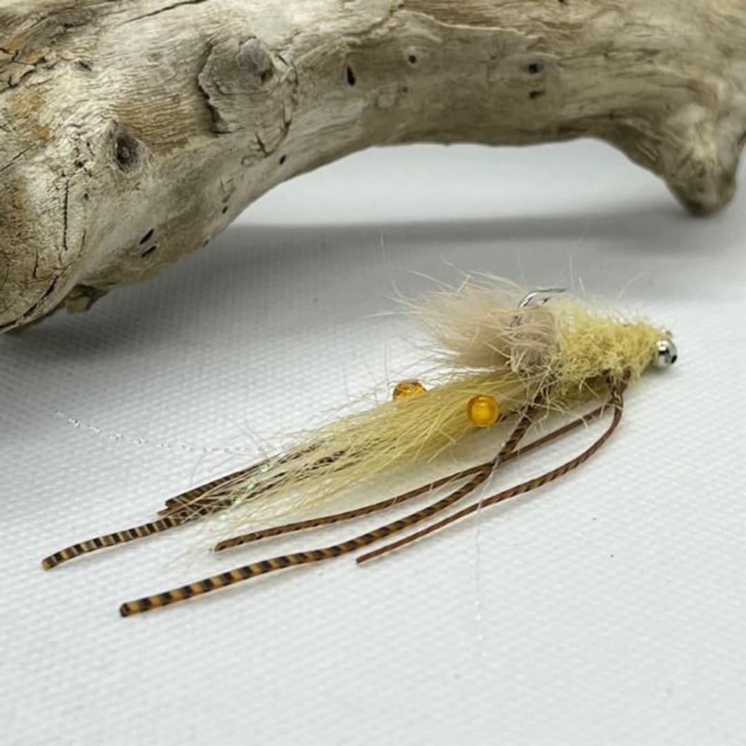 Mantis Shrimp Veverka's... 3 Pack - Etsy