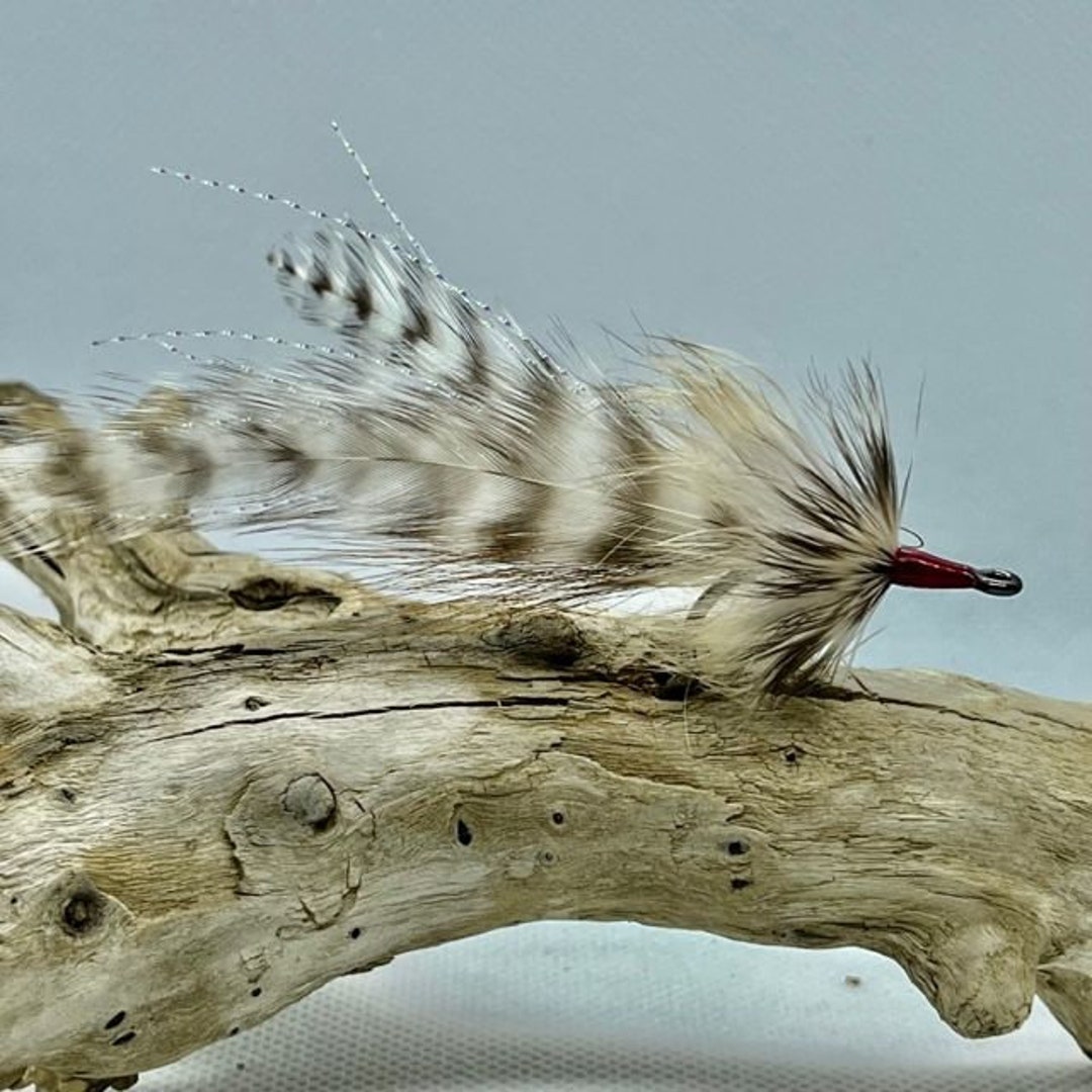 Cockroach Tarpon Fly, Size 2/0 - Etsy