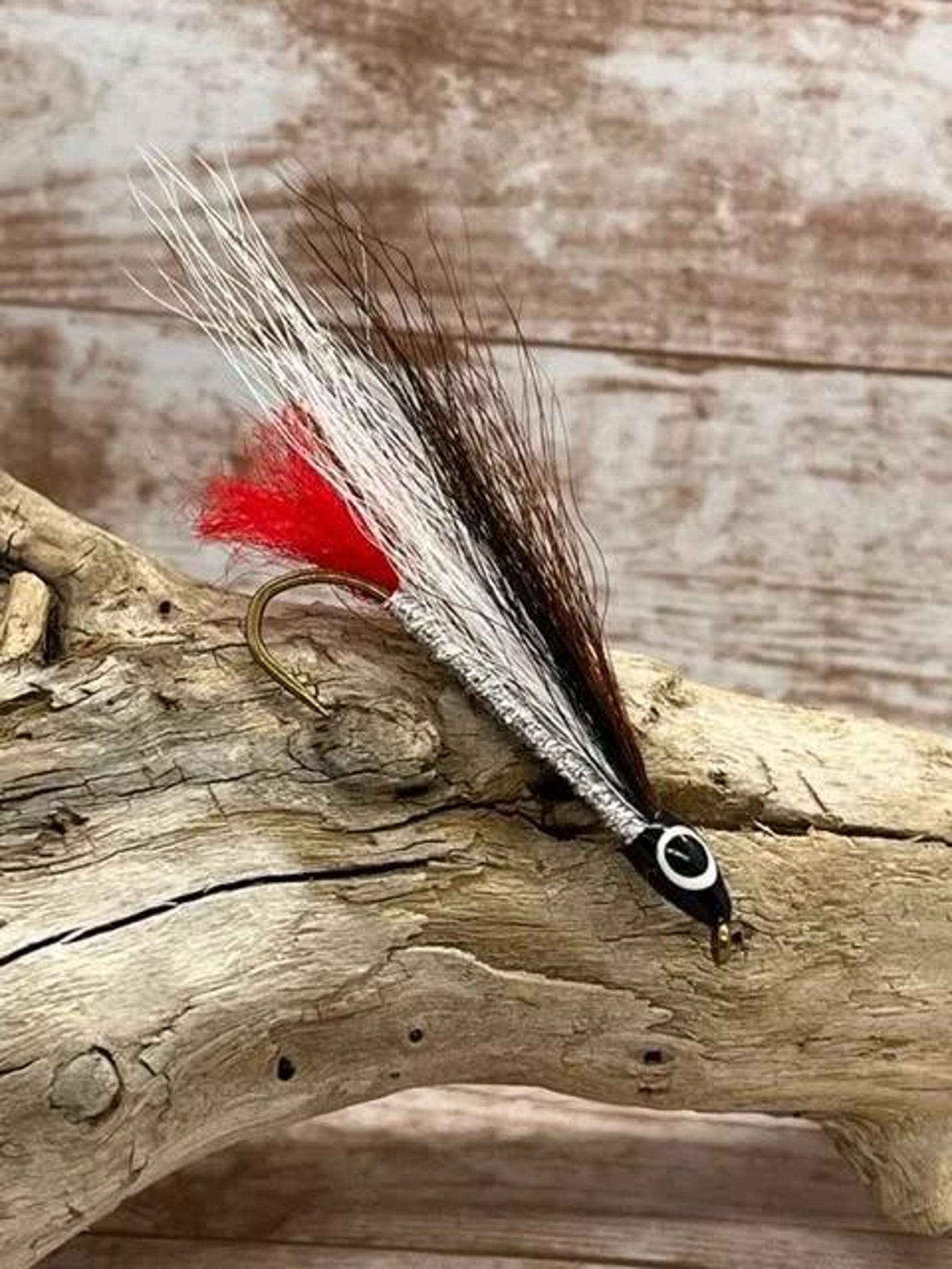 Black Nose Dace Classic Streamer-6 Pack - Etsy