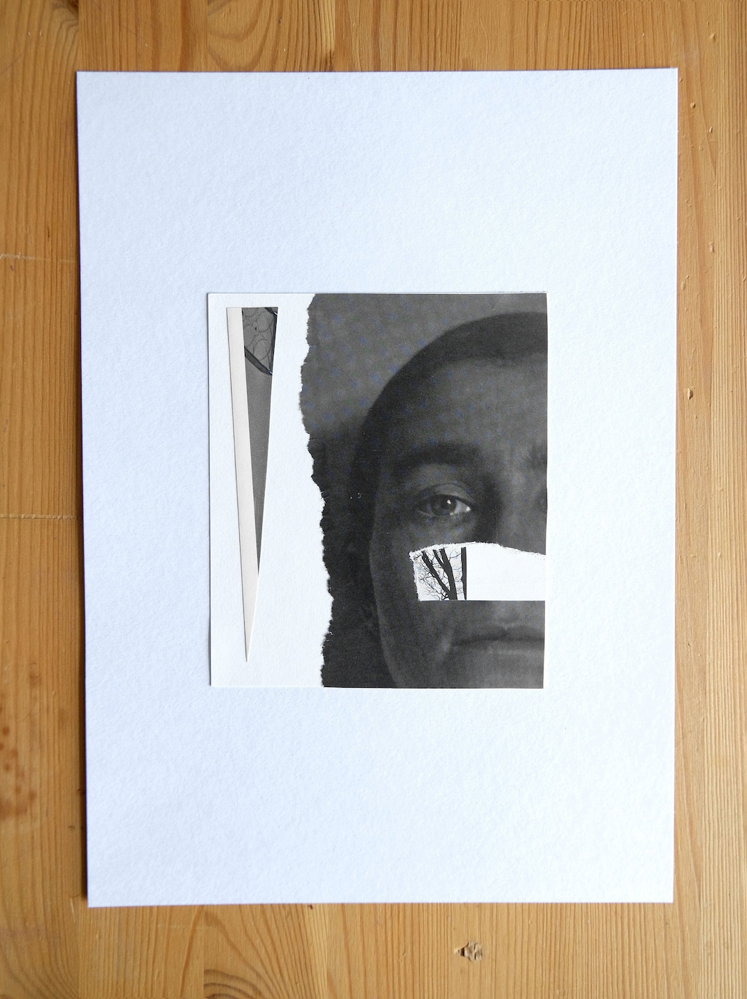 Woman Portrait Collage / Hand Cut Collage, One of a Kind, Original Art ...