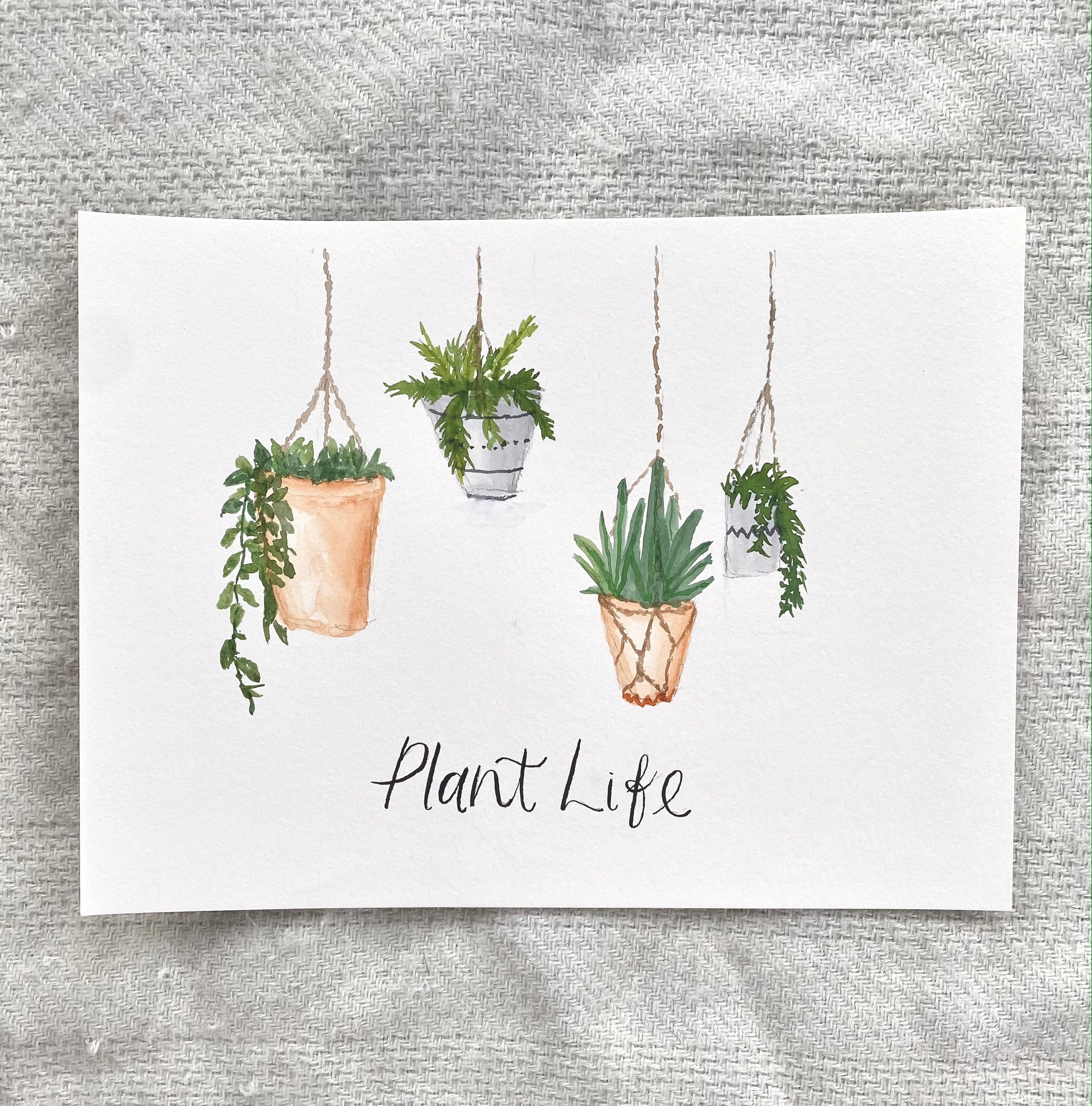 Watercolor Hanging Plants - Hanging Succulents - Etsy