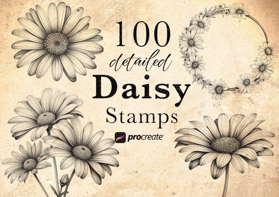 Daisy Flower Procreate Stamp Brushes | Daisies Blossom Stamps | April ...