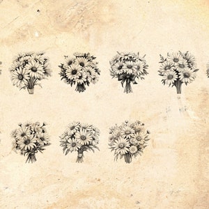 Daisy Flower Procreate Stamp Brushes | Daisies Blossom Stamps | April ...