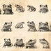 100 Frog Procreate Stamp Brushes: Wildlife, Tattoo Reference (digital ...