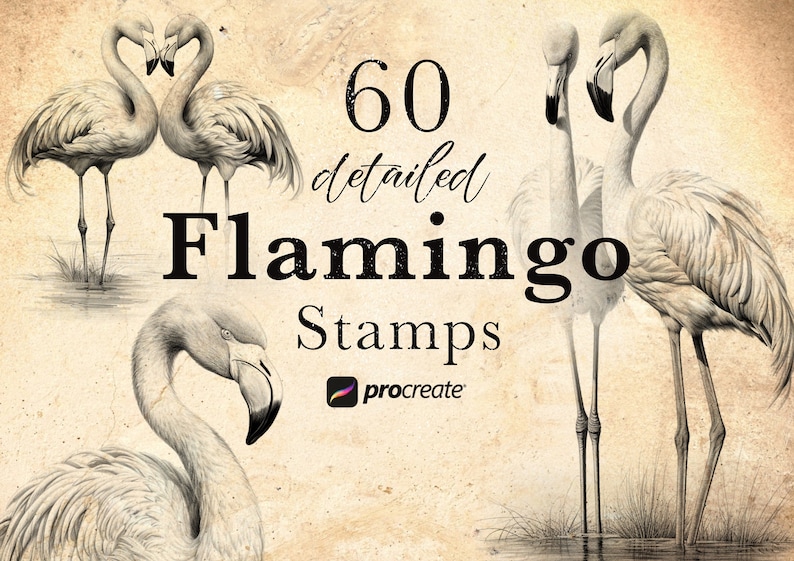 60 Flamingo Procreate Stamp Brushes: Tropical Wildlife Set • .brushset ...