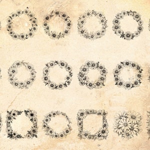 Daisy Flower Procreate Stamp Brushes: Botanical Tattoo Stamps (100 ...