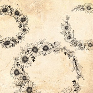 Daisy Flower Procreate Stamp Brushes | Daisies Blossom Stamps | April ...