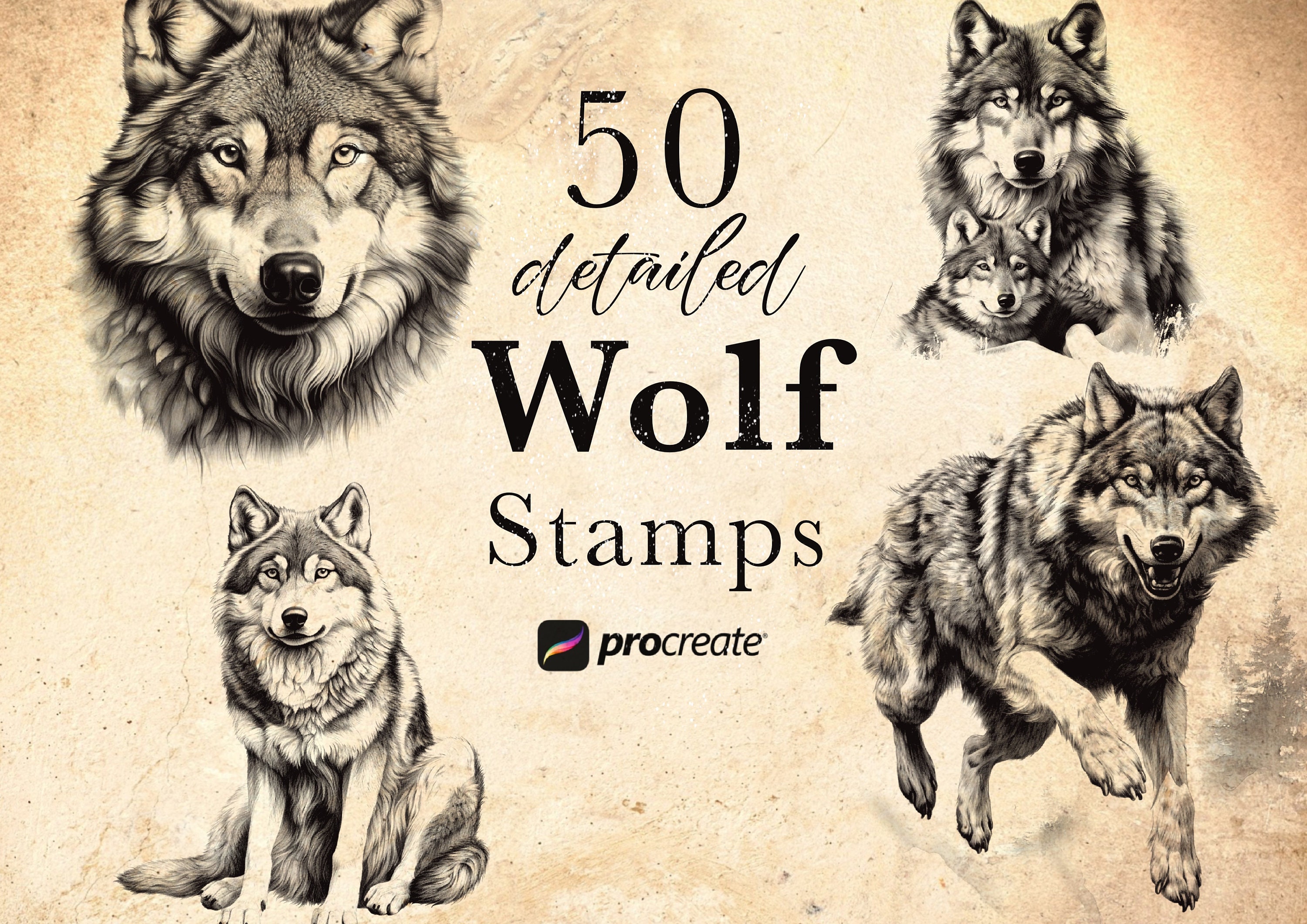 Wolf Pack Drawings In Pencil