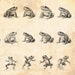 100 Frog Procreate Stamp Brushes: Wildlife, Tattoo Reference (digital ...