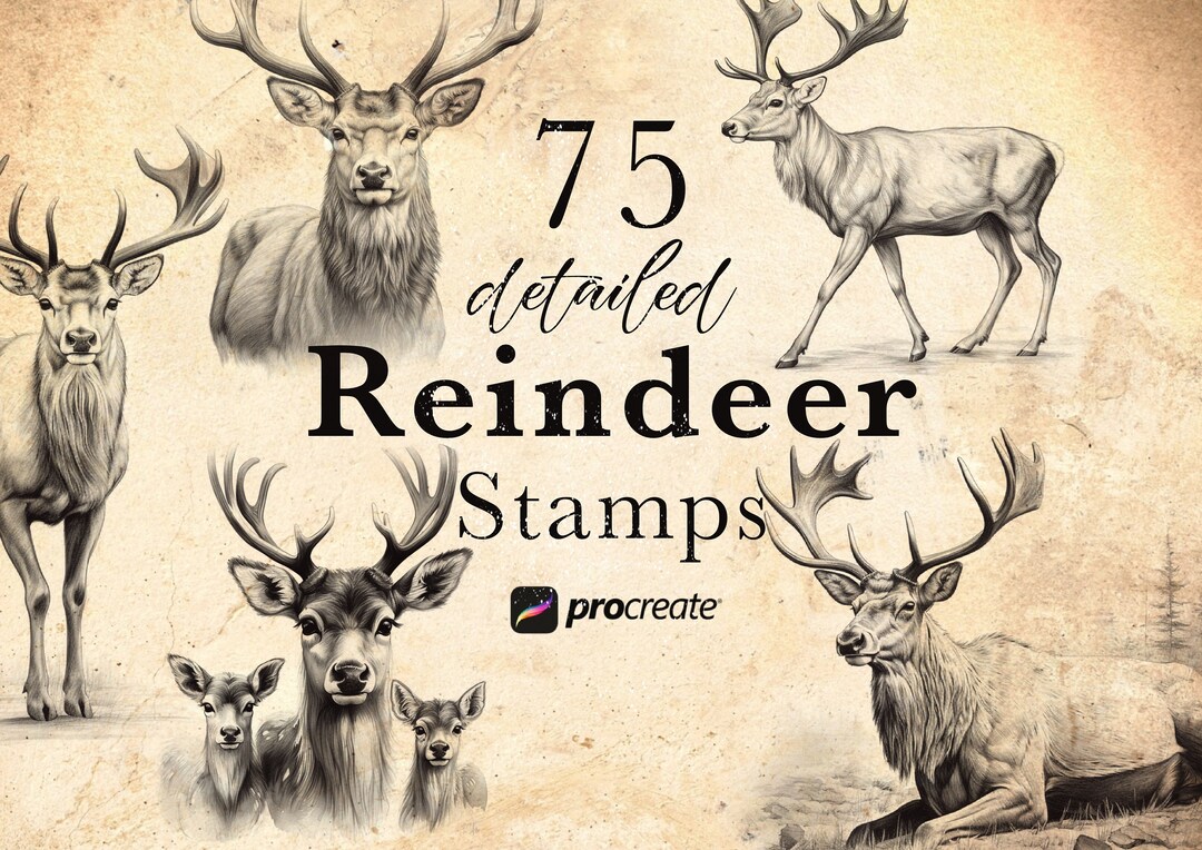 75 Reindeer Procreate Stamp Brushes | Wildlife Animal Procreate Stamps ...