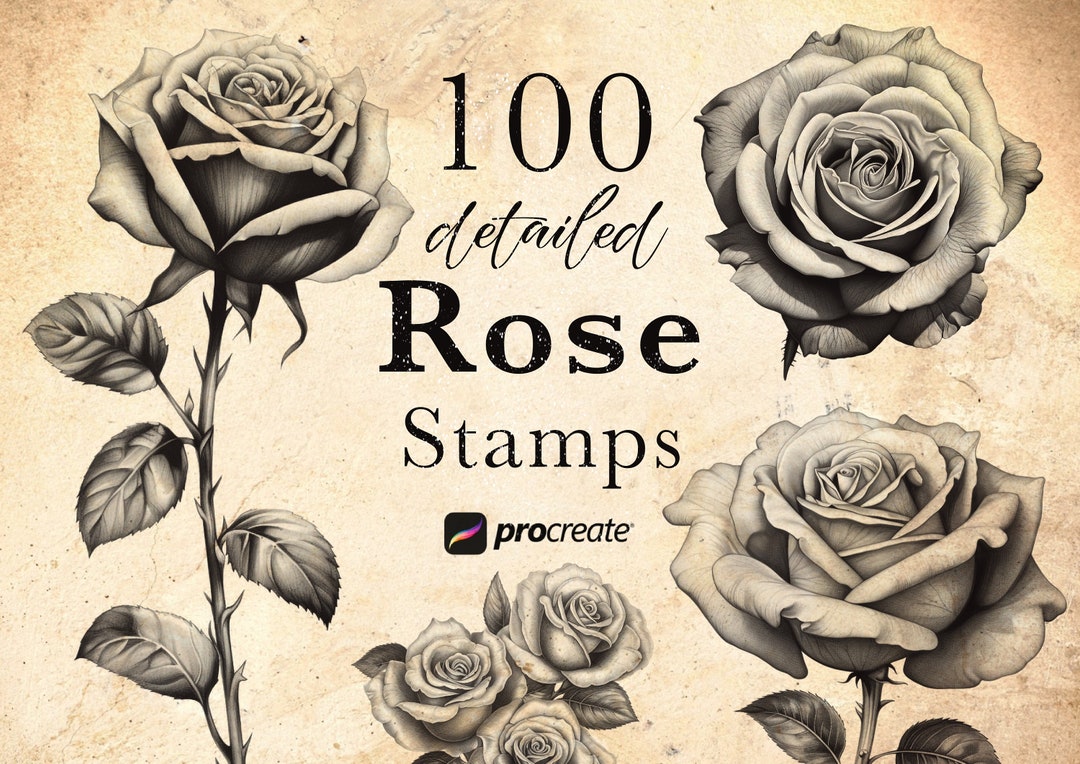 Rose Flower Procreate Stamp Brushes | Roses Blossom Stamps | June Birth ...