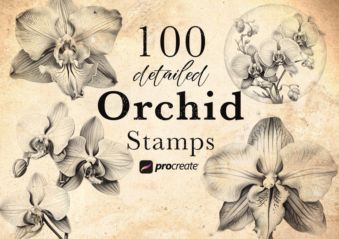 Orchid Procreate Stamp Brushes: 100 Botanical Flower Stamps (digital ...
