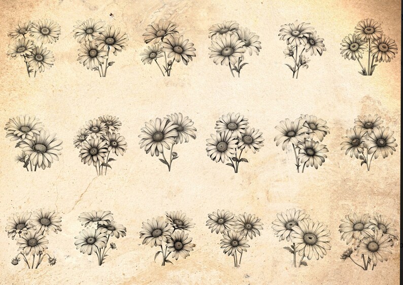 Daisy Flower Procreate Stamp Brushes: Botanical Tattoo Stamps (100 ...