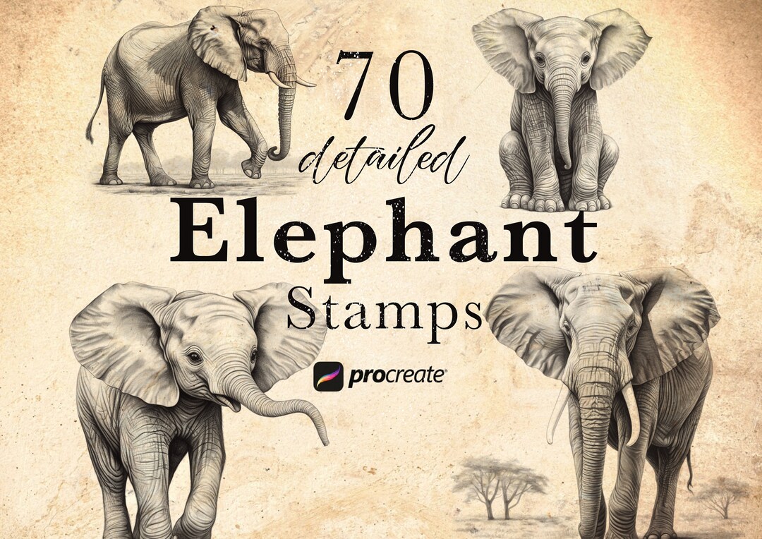 Elephant Procreate Stamp Brushes | Wildlife Animal Procreate Stamps ...