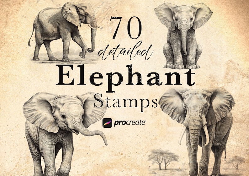 Elephant Procreate Stamp Brushes Wildlife Animal Procreate Stamps Baby ...