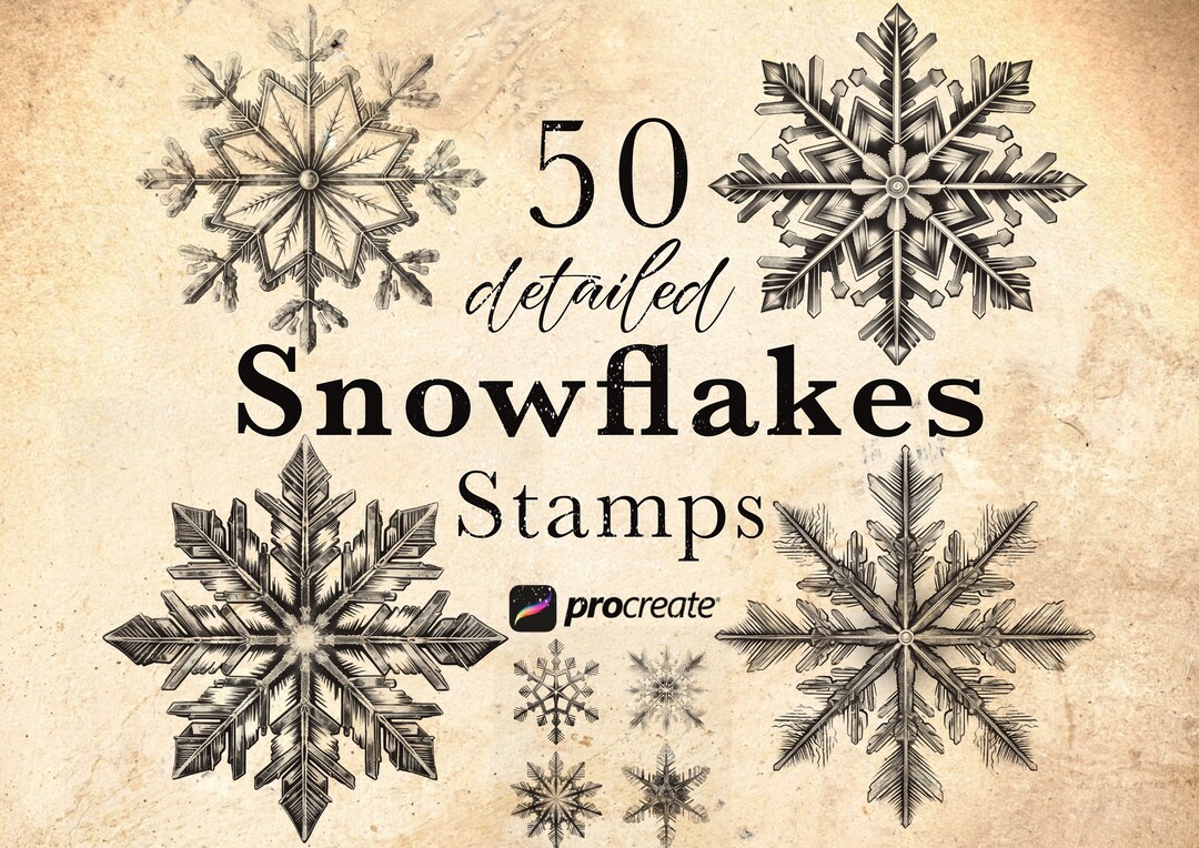 50 Snowflake Procreate Brush Stamps | Snowy Christmas Ornaments , Gift ...