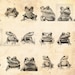 100 Frog Procreate Stamp Brushes: Wildlife, Tattoo Reference (digital ...