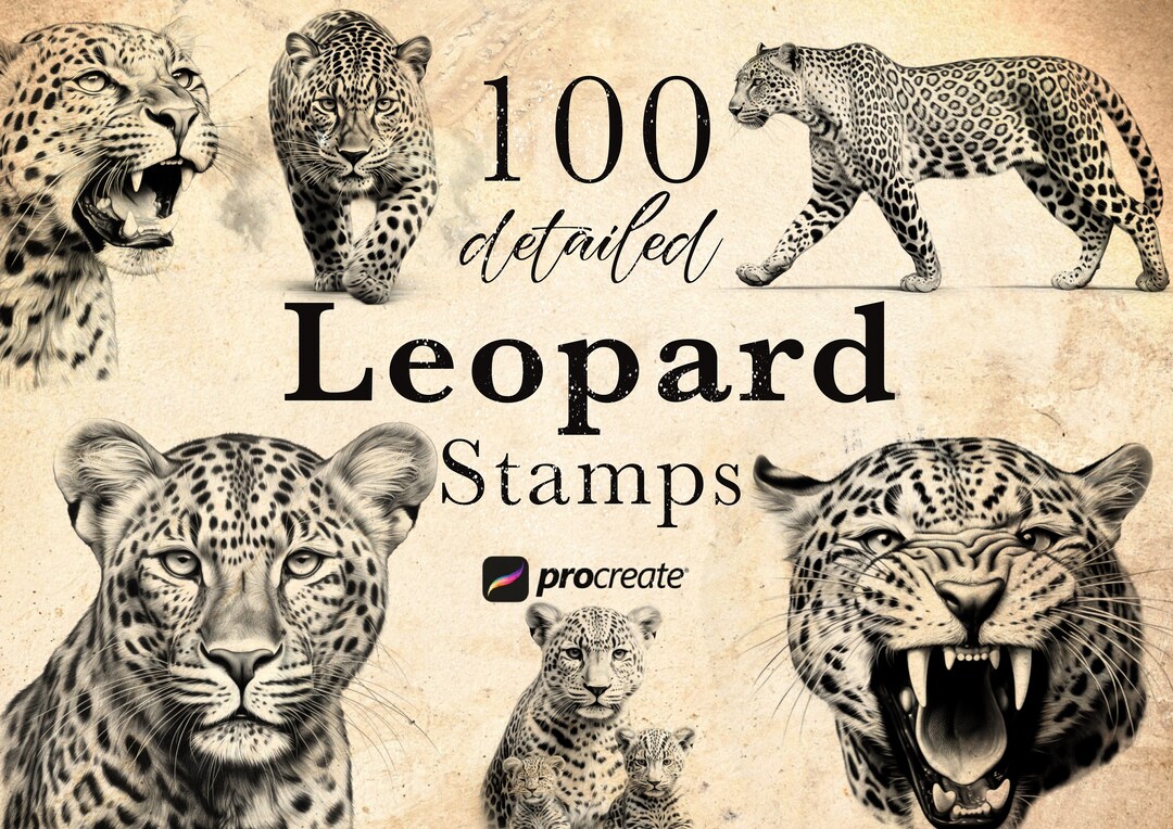 100 Leopard Procreate Stamp Brushes: Wildlife Animal Set • .brushset ...