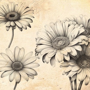 Daisy Flower Procreate Stamp Brushes: Botanical Tattoo Stamps (100 ...